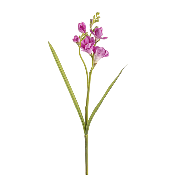 Flower Freesia Fuscia – Smart Living