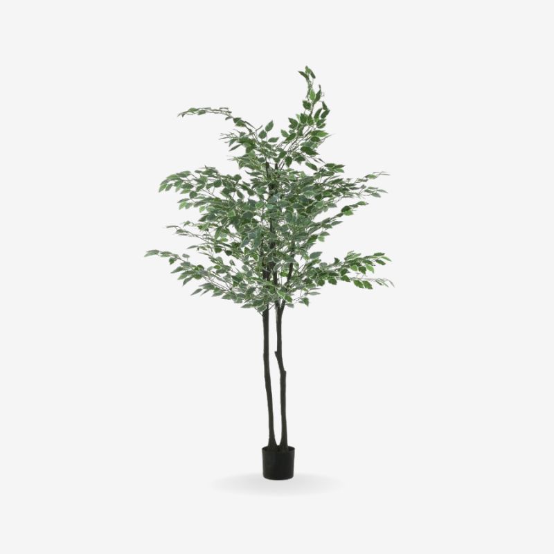 Deco Plant Benjamin Tree – Smart Living